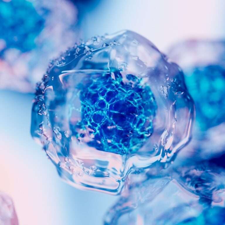 Swiss Stem Cells Biotech Switzerland