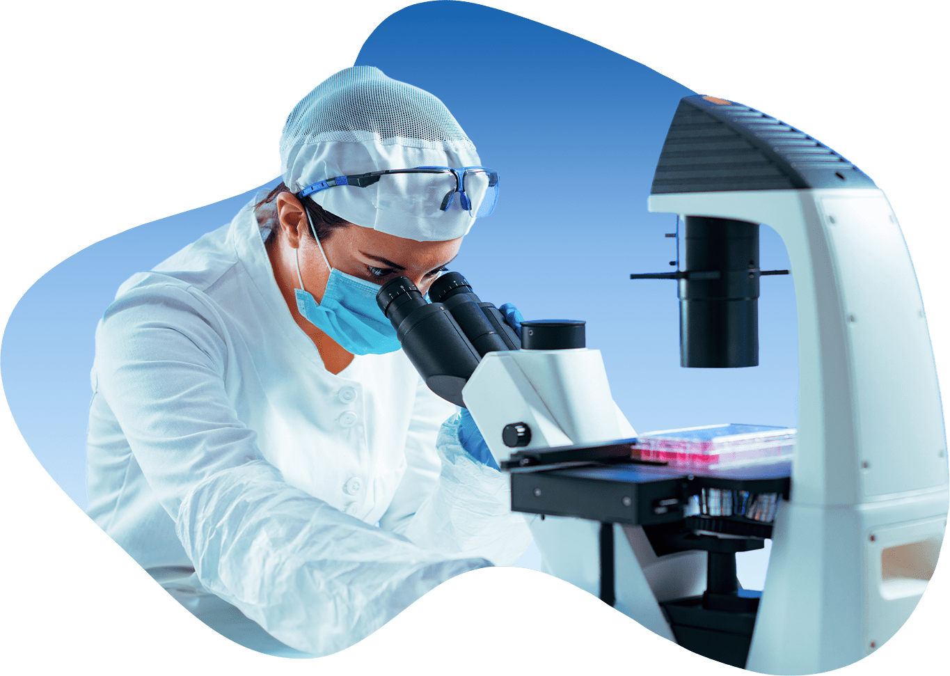 MyBabyCells: Store stem cells from the umbilical cord and placenta